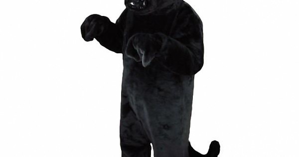 Interview with a Dragon Mascot Costume Designer: Insights and Secrets