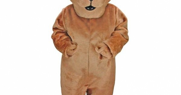 How to Choose the Right Character Mascot Costume