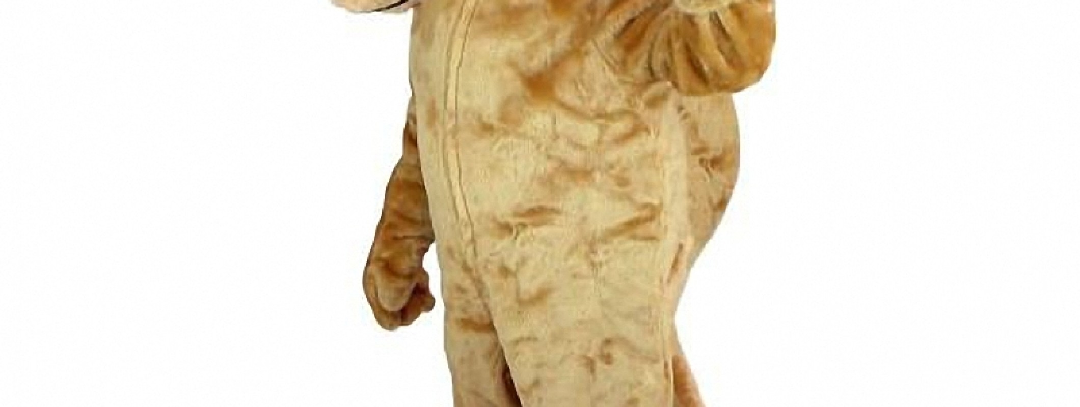 The Ultimate Guide to Dog Mascot Costumes