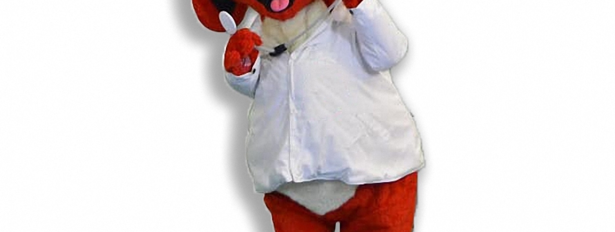 A Day in the Life of a Chicken Mascot: What to Expect