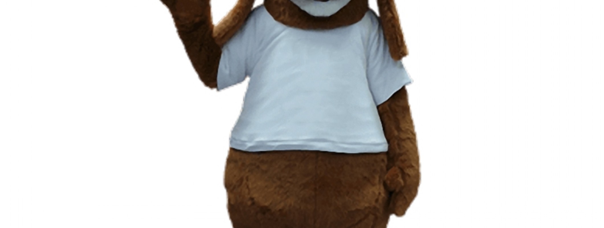 Innovative Materials Used in Modern Sheep Mascot Costumes
