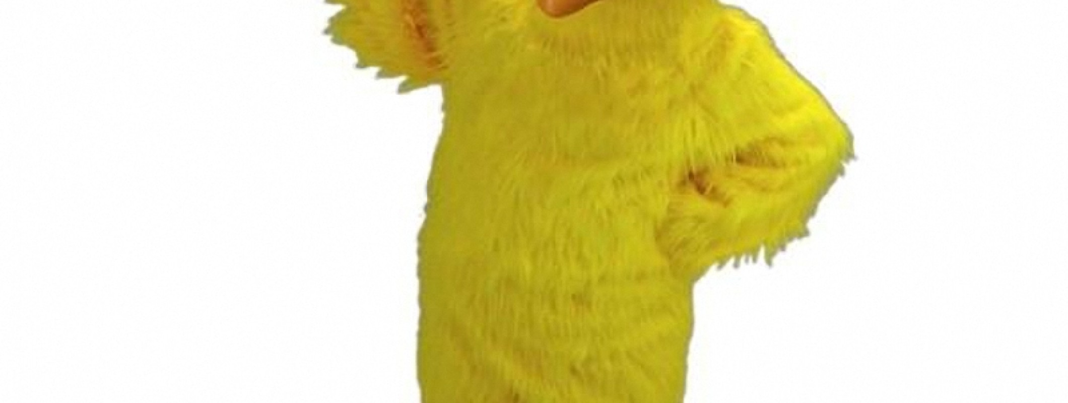 Best Materials for Durable and Comfortable Animal Mascot Costumes