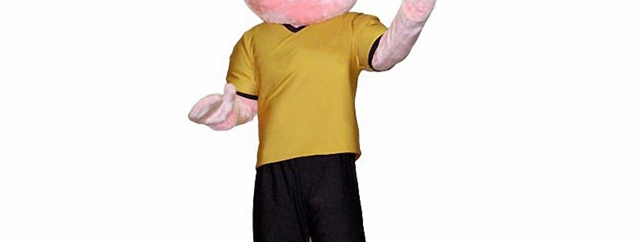 Why Holiday Mascot Costumes Are Great for Community Events