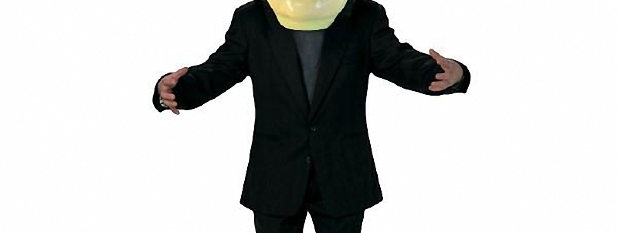 Famous Brands That Offer Lion Mascot Costumes