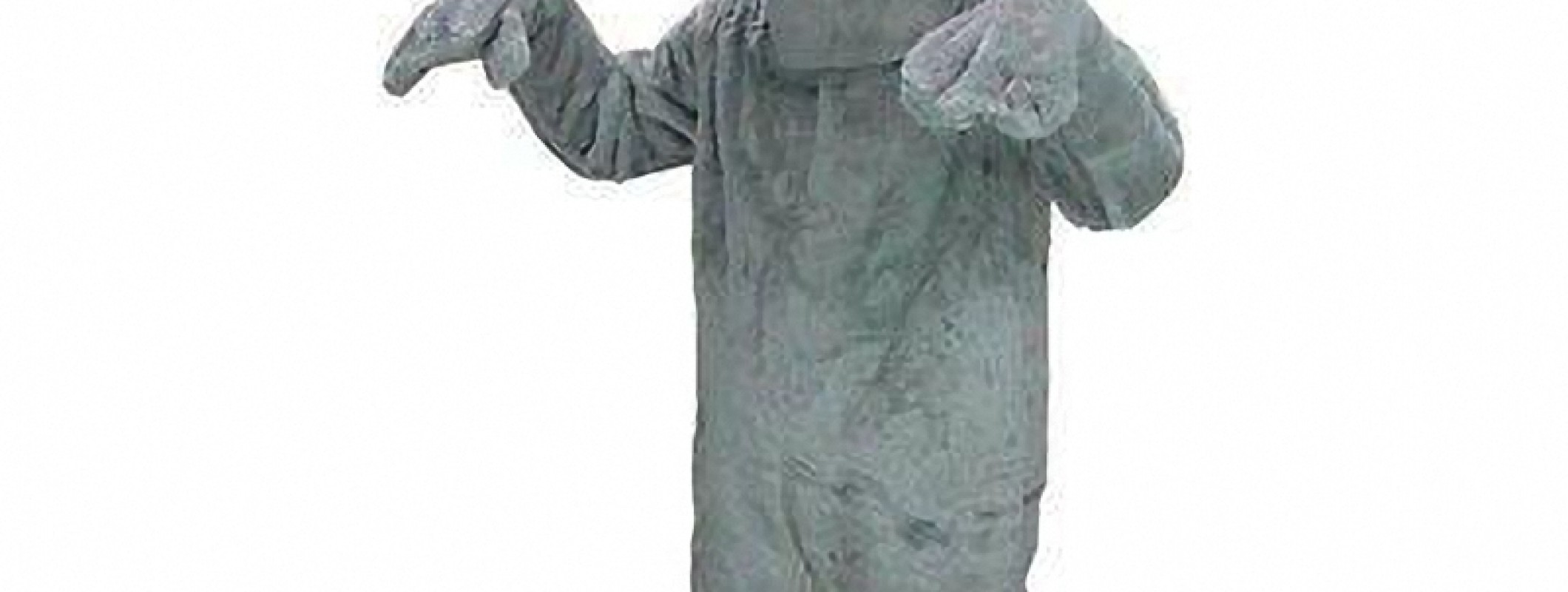 Safety First: Tips for Wearing Eagle Mascot Costumes