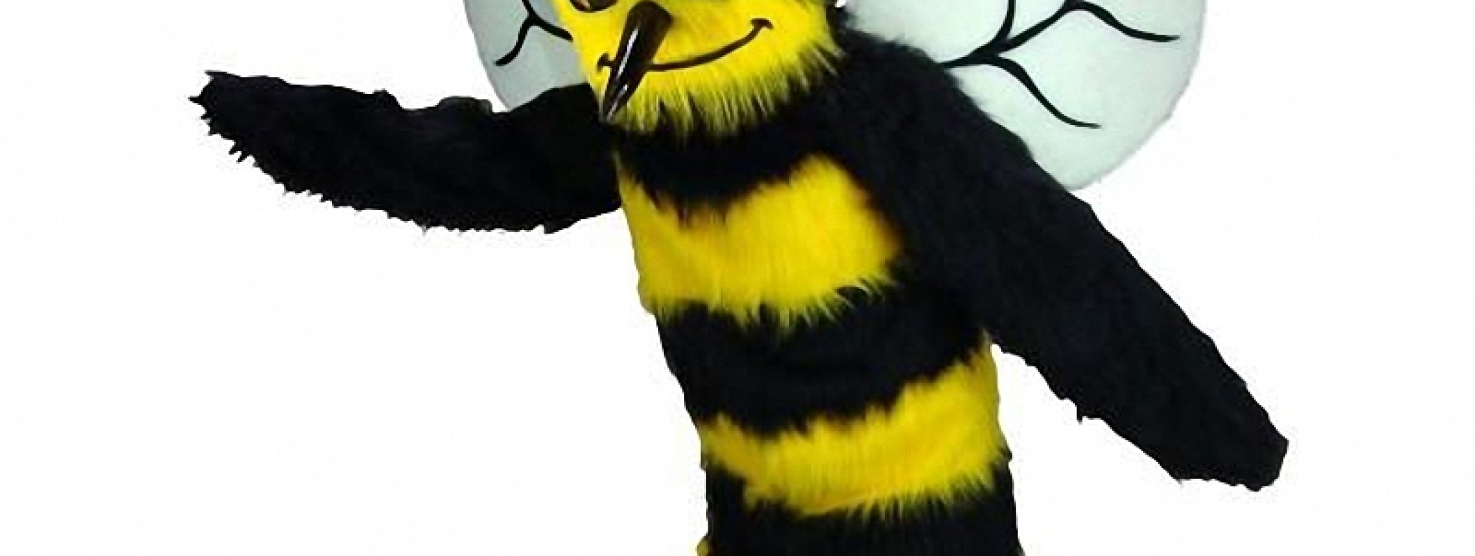 Top 10 Must-Have Mascot Costumes for Promotional Campaigns