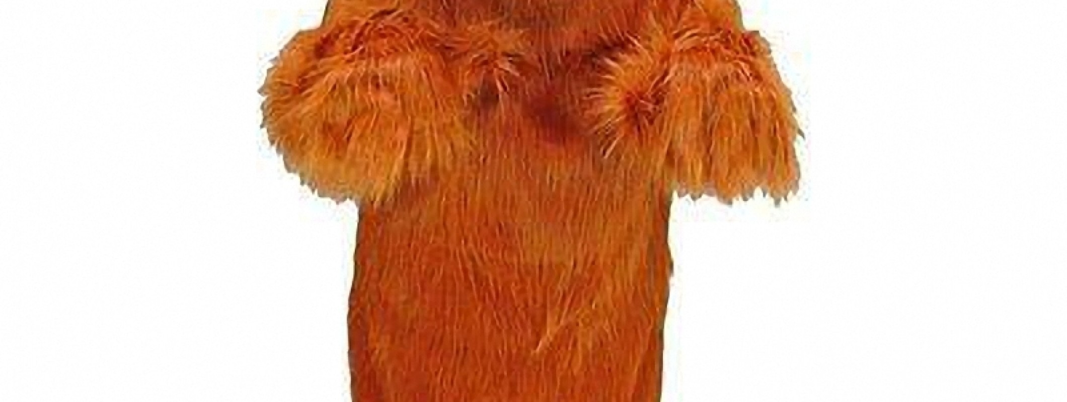 Interviews with Designers of Popular Pig Mascot Costumes