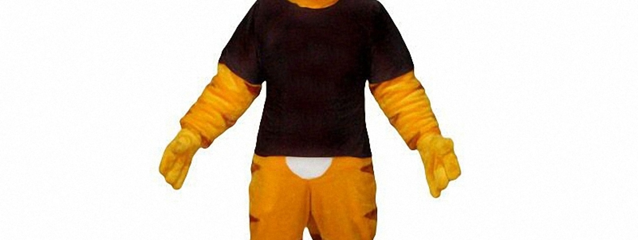 Monkey Mascot Costumes in Music: How They Enhance Concert Experiences
