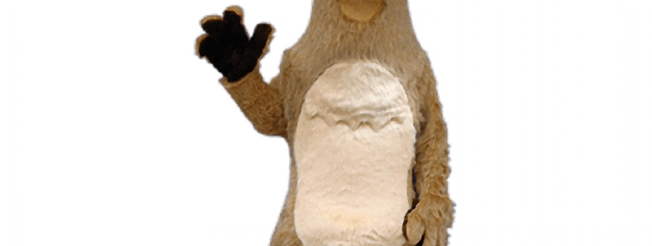 Learning Through Play: Educational Benefits of Chicken Mascot Costumes