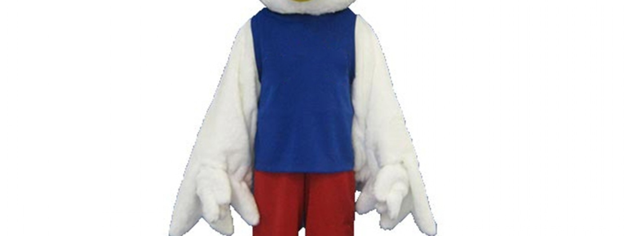 Interview with a Professional Mascot: Insights Into Wearing a Chicken ...