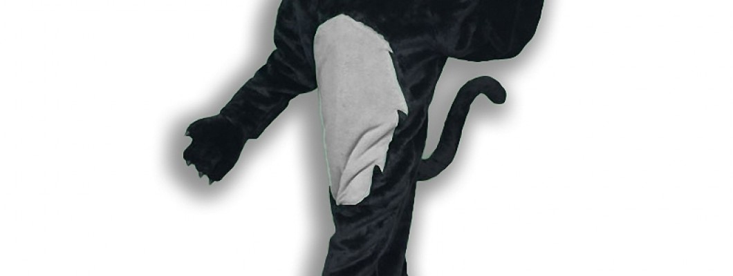 The Educational Value of Bear Mascot Costumes in Schools