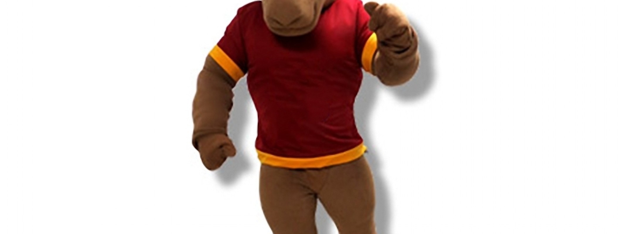 Giraffe Mascot Costumes: A Guide to Choosing the Best One