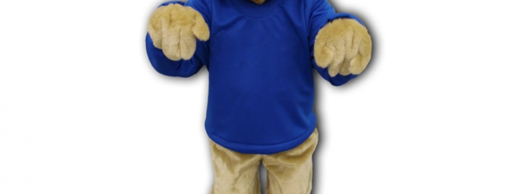 The Most Comfortable Leopard Mascot Costumes for All-Day Use