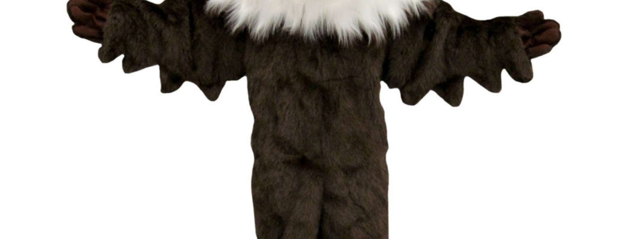 The Pros and Cons of DIY Chicken Mascot Costumes