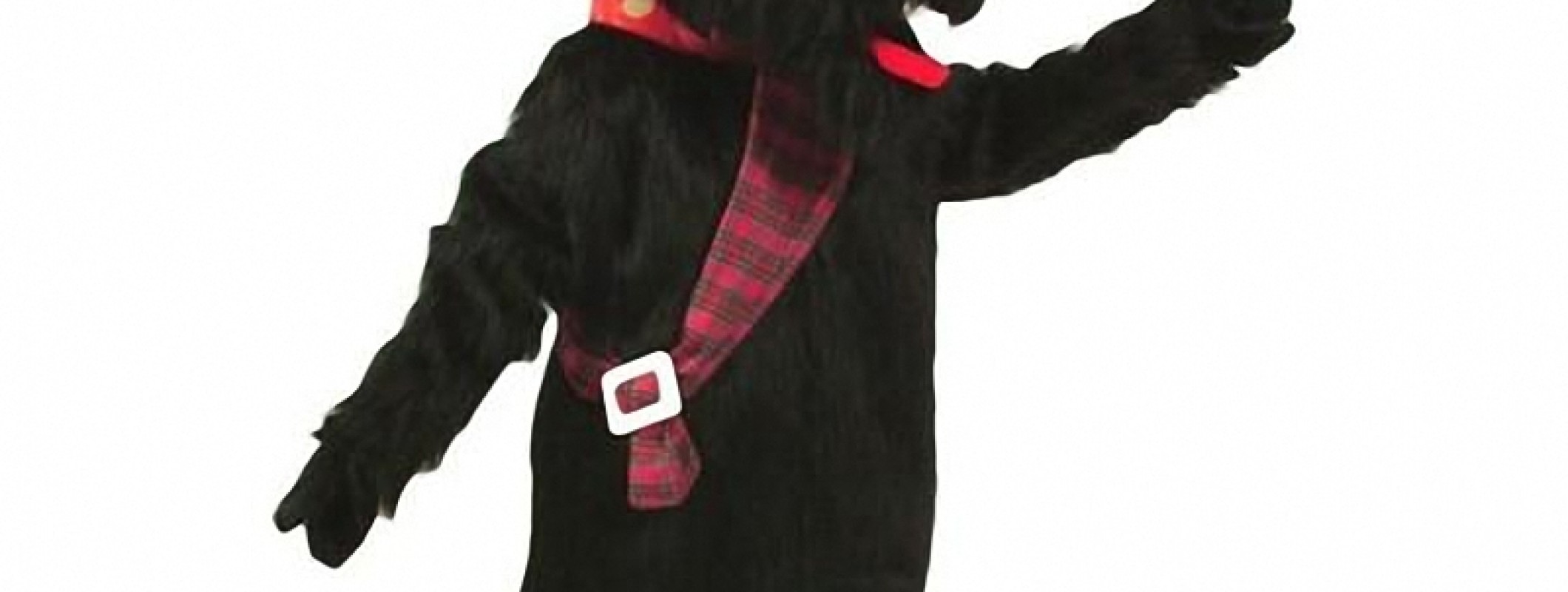 The Top 5 Mouse Mascot Costume Designers You Need to Know